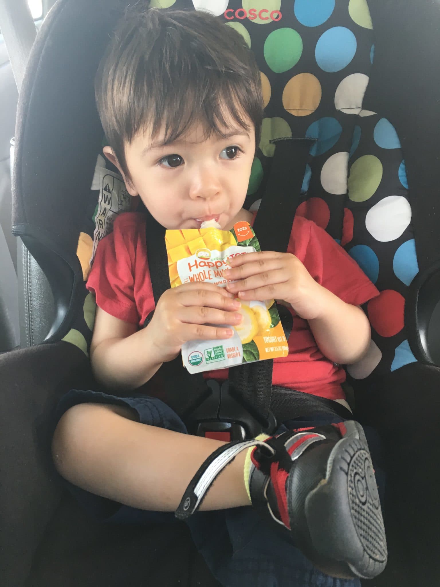 6 Tips to Make Snack Time Healthy - Featuring Happy Family Yogurt ...